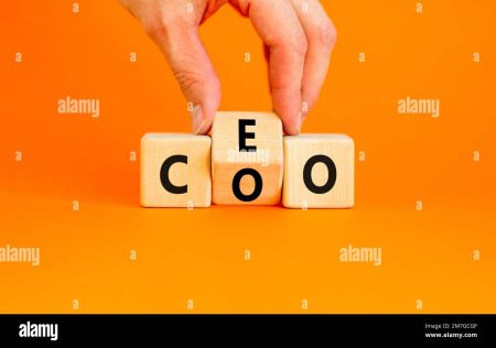 ¿Qué es un COO y cuáles son sus funciones clave? - MD Pajedrez