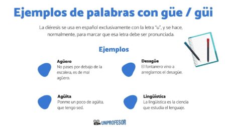 Guía completa sobre la TREMA y su importancia en la evaluación privada ...