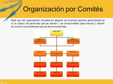 - Ejemplos prácticos de organización por comités - Descubre cómo ...