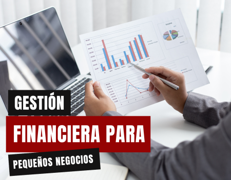 5 funciones clave del director de finanzas en una empresa - MD Pajedrez