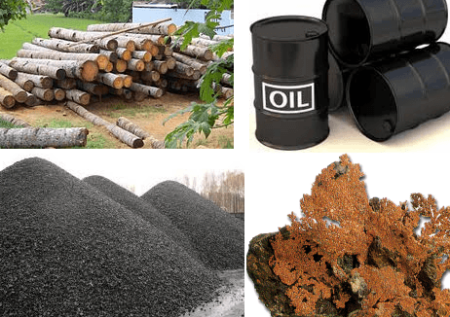 Materia prima directa e indirecta: conoce sus diferencias y su ...