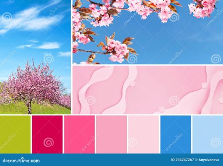 Paleta de colores azul y rosa: combinaciones perfectas para tu diseño ...