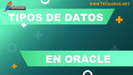 Guía completa sobre tipos de datos Oracle: Certificación, asignaciones y requisitos - MD Pajedrez